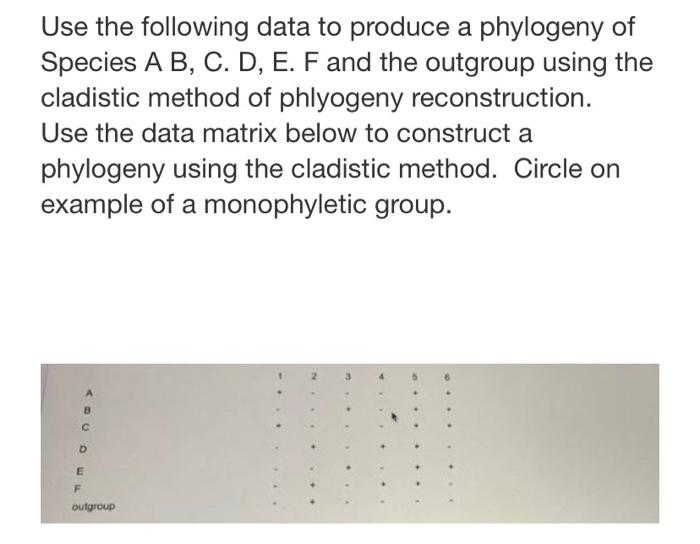 Solved Kindly help me draw the phylogeny using the cladistic | Chegg.com