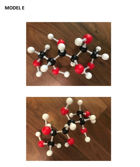 Solved Name Molecular Modelling Lab Worksheet Model Picture | Chegg.com