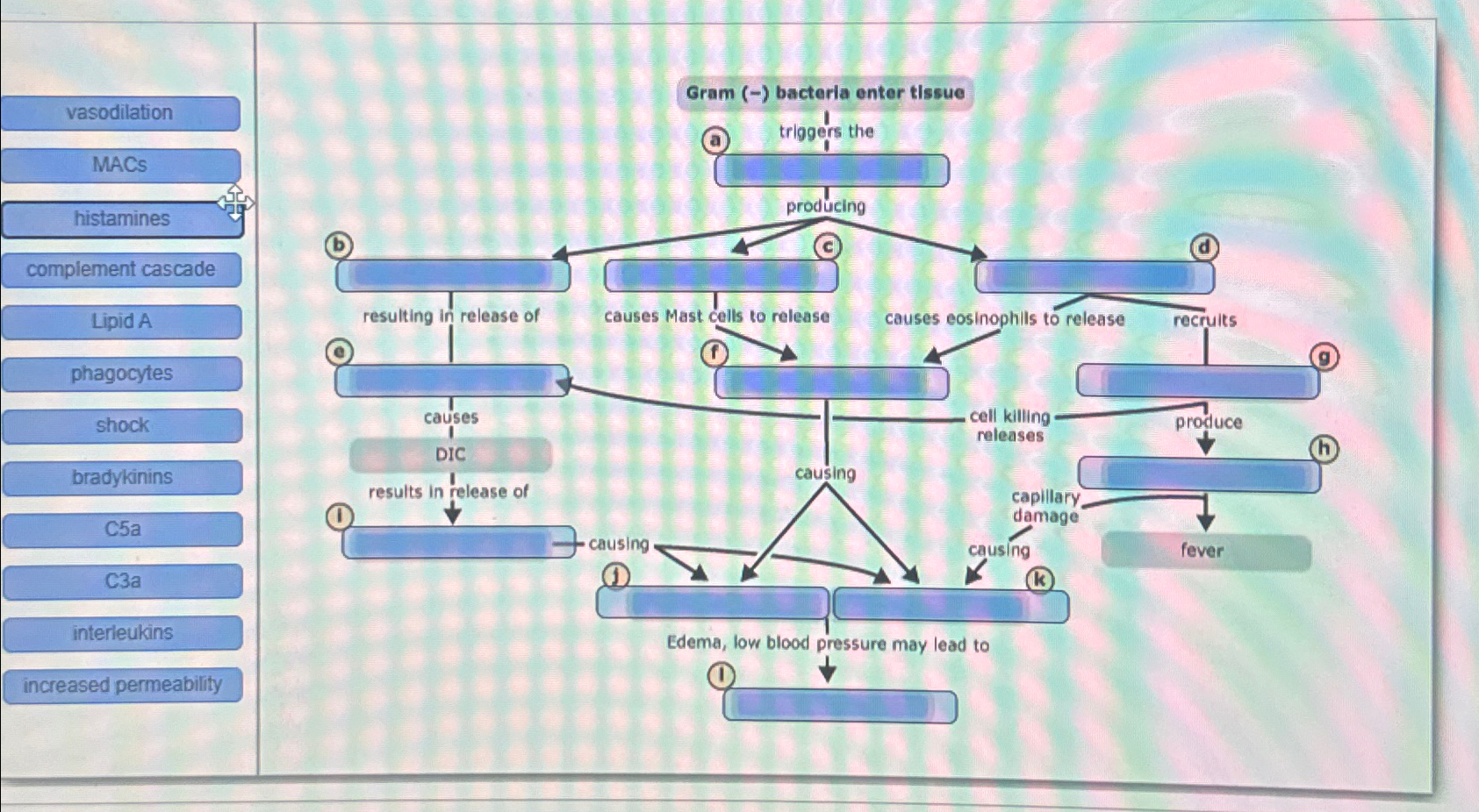 Solved infections with gram-negative bacteria are considered | Chegg.com
