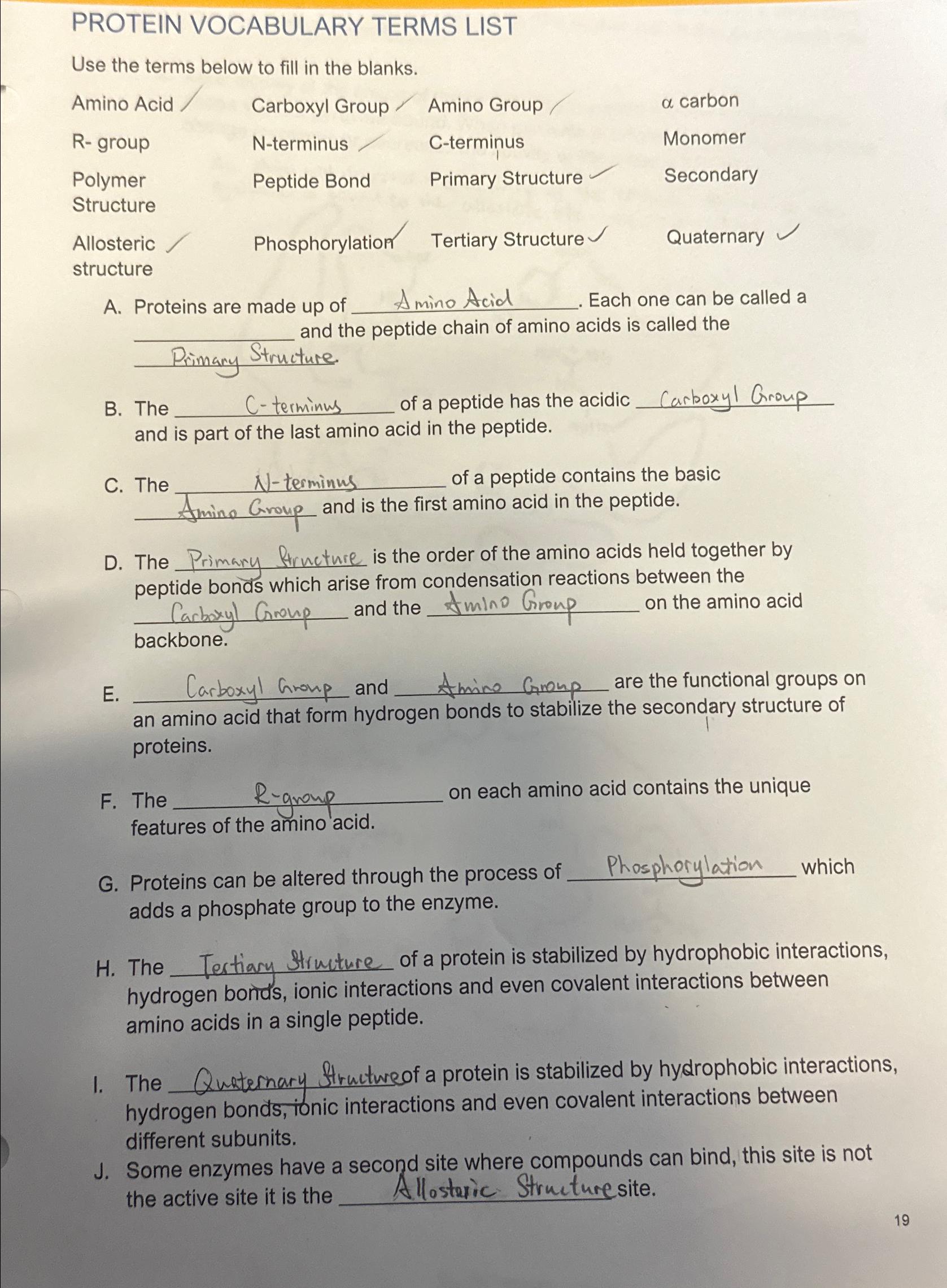 Solved PROTEIN VOCABULARY TERMS LISTUse the terms below to | Chegg.com