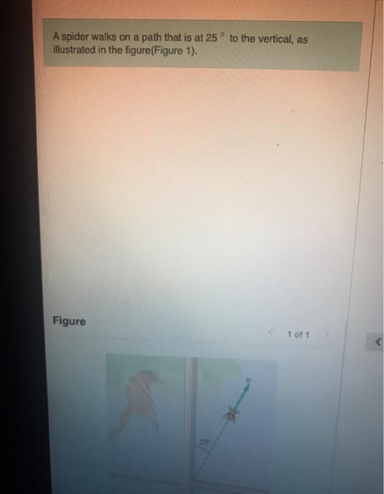 Solved A spider walks on a path that is at 25° to the | Chegg.com