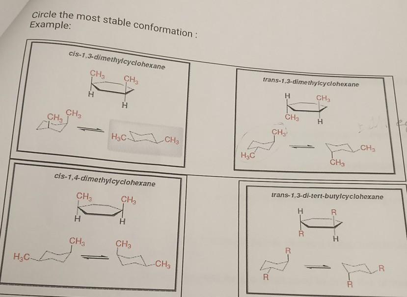 Solved Circle the most stable conformation | Chegg.com