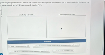 Solved Classify the given mutations in the R or C whbuif of | Chegg.com