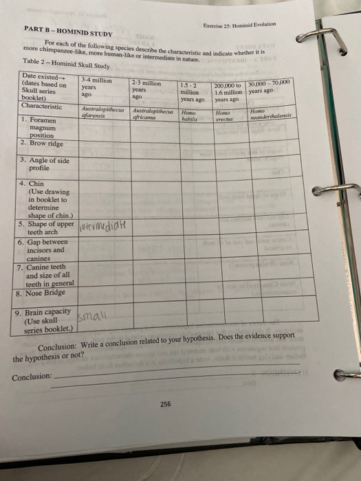 Exercise 25: Hominid Evolution PART B - HOMINID STUDY | Chegg.com