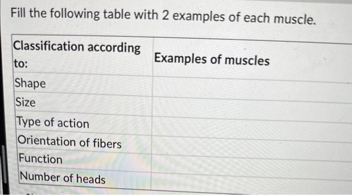 Solved from example of muscle are parallel muscle, | Chegg.com