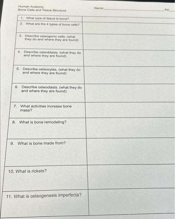 Solved Human Anatomy Bone Cells and Tissue Structure 1. What | Chegg.com