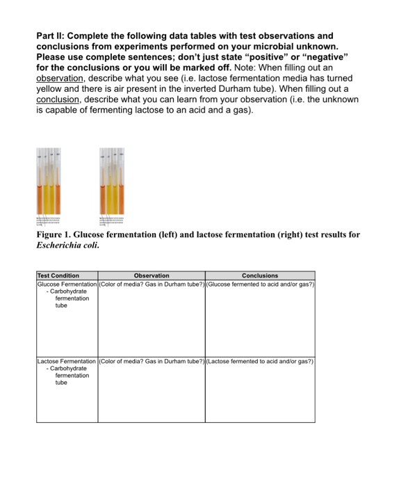 Part II: Complete the following data tables with test | Chegg.com