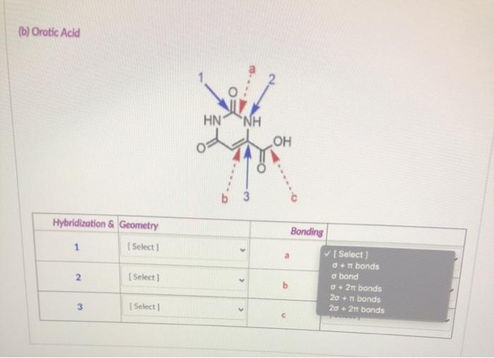 Solved (a) Penguinone 1- N Hybridization & Geometry 1 sp2. | Chegg.com