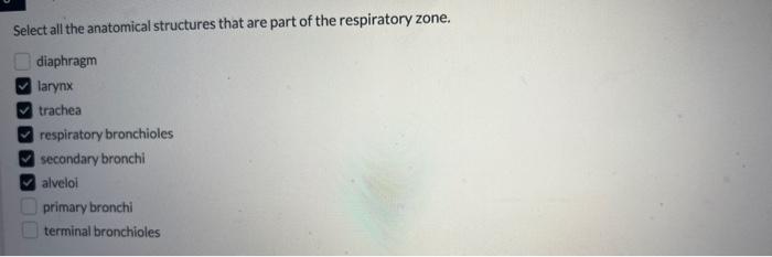 Solved Select all the anatomical structures that are part of | Chegg.com