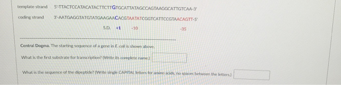 Solved Nucleic acids. Draw the atomic structure of an A U | Chegg.com
