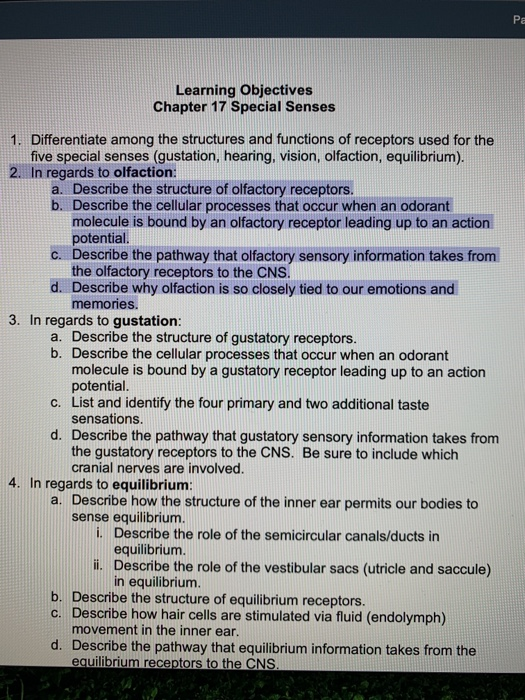 Solved Pa Learning Objectives Chapter 17 Special Senses 1. | Chegg.com