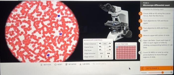 Solved Lab Data | Chegg.com