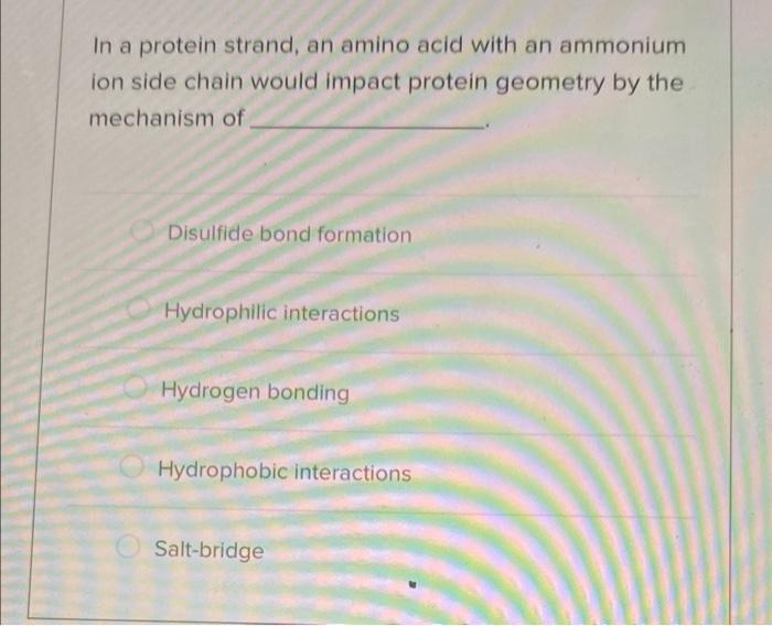 Solved In a protein strand, an amino acid with an ammonium | Chegg.com