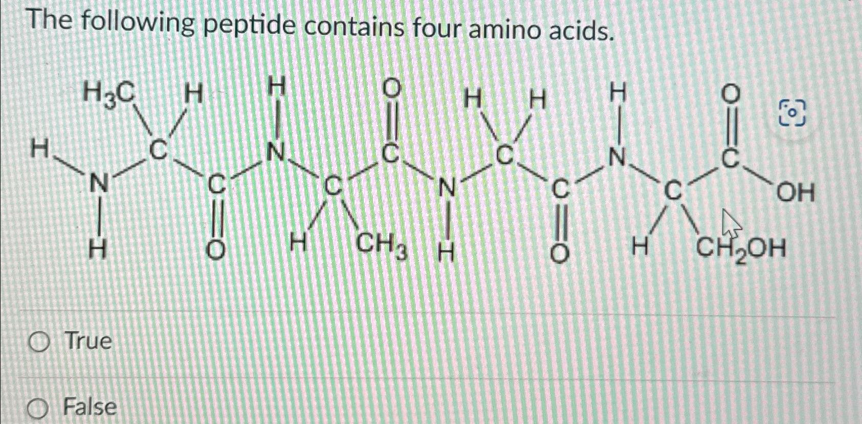 Solved The following peptide contains four amino | Chegg.com