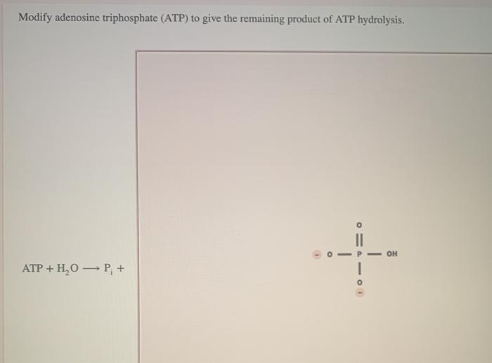 Solved Modify adenosine triphosphate (ATP) to give the | Chegg.com