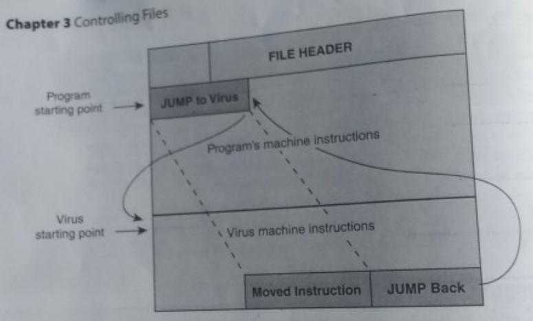 Solved Alice’s computer was infected by Virus X, which | Chegg.com