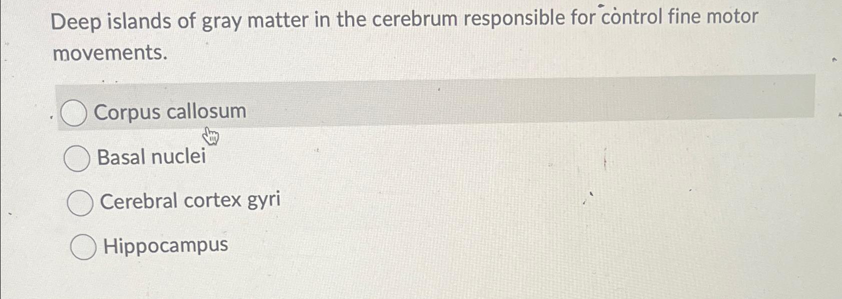 Solved Deep islands of gray matter in the cerebrum | Chegg.com