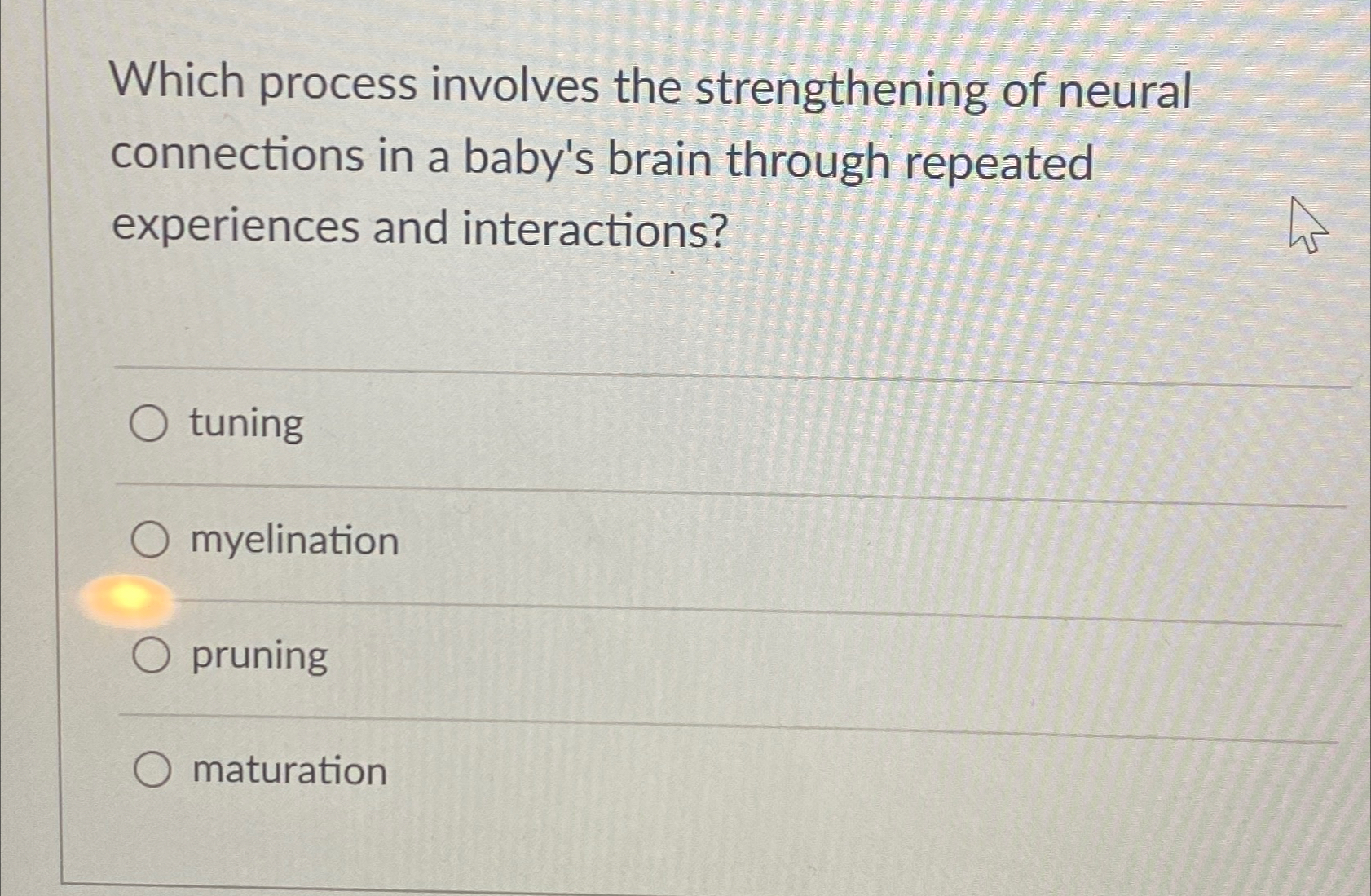 Solved Which process involves the strengthening of neural | Chegg.com