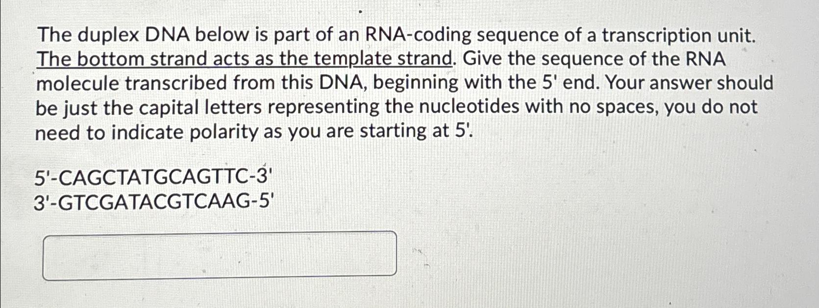 Solved The duplex DNA below is part of an RNA-coding | Chegg.com