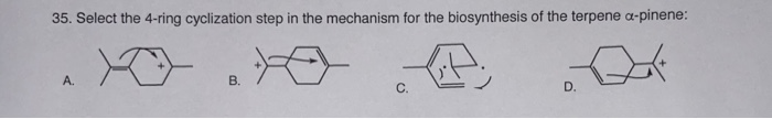 Solved 35. Select the 4-ring cyclization step in the | Chegg.com