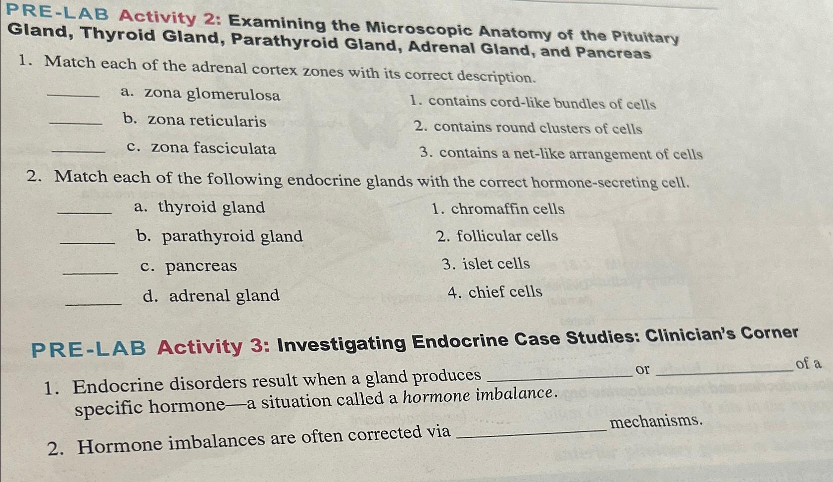 Solved PRE-LAB Activity 2: Examining the Microscopic Anatomy | Chegg.com Solved PRE-LAB Activity 2: Examining the Microscopic Anatomy | Chegg.com