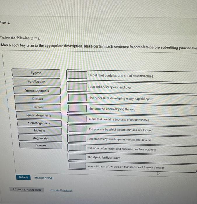 Solved efine the following terms. Match each key term to the | Chegg.com
