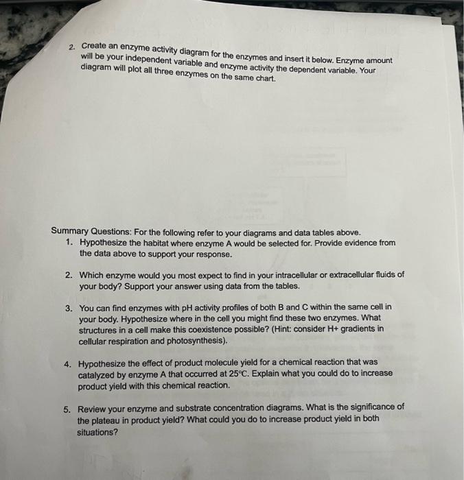 2. Create an enzyme activity diagram for the enzymes | Chegg.com