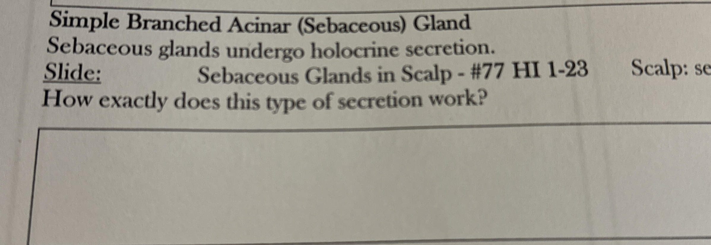 Solved Simple Branched Acinar (Sebaceous) ﻿GlandSebaceous | Chegg.com