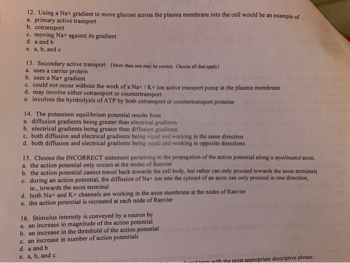 Solved 12. Using a Na+ gradient to move glucose across the | Chegg.com