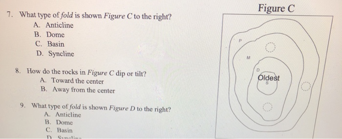 Solved Figure C 7. What type of fold is shown Figure C to | Chegg.com