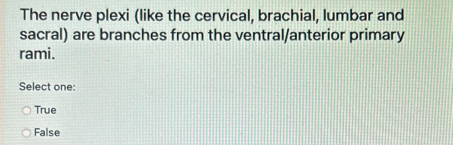 The nerve plexi (like the cervical, brachial, lumbar | Chegg.com