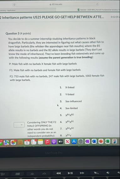 Solved cimunedyconsing - ﻿Application2 ﻿Inheritance patterns | Chegg.com