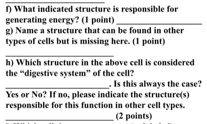 Solved 5. f) What indicated structure is responsible for | Chegg.com