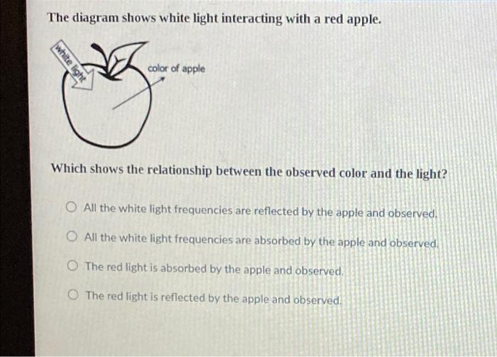 Solved The diagram shows white light interacting with a red | Chegg.com