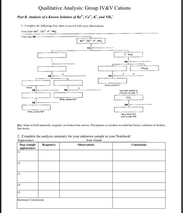 Qualitative Analysis: Group IV\&V Cations Part B. | Chegg.com Qualitative Analysis: Group IV\&V Cations Part B. | Chegg.com
