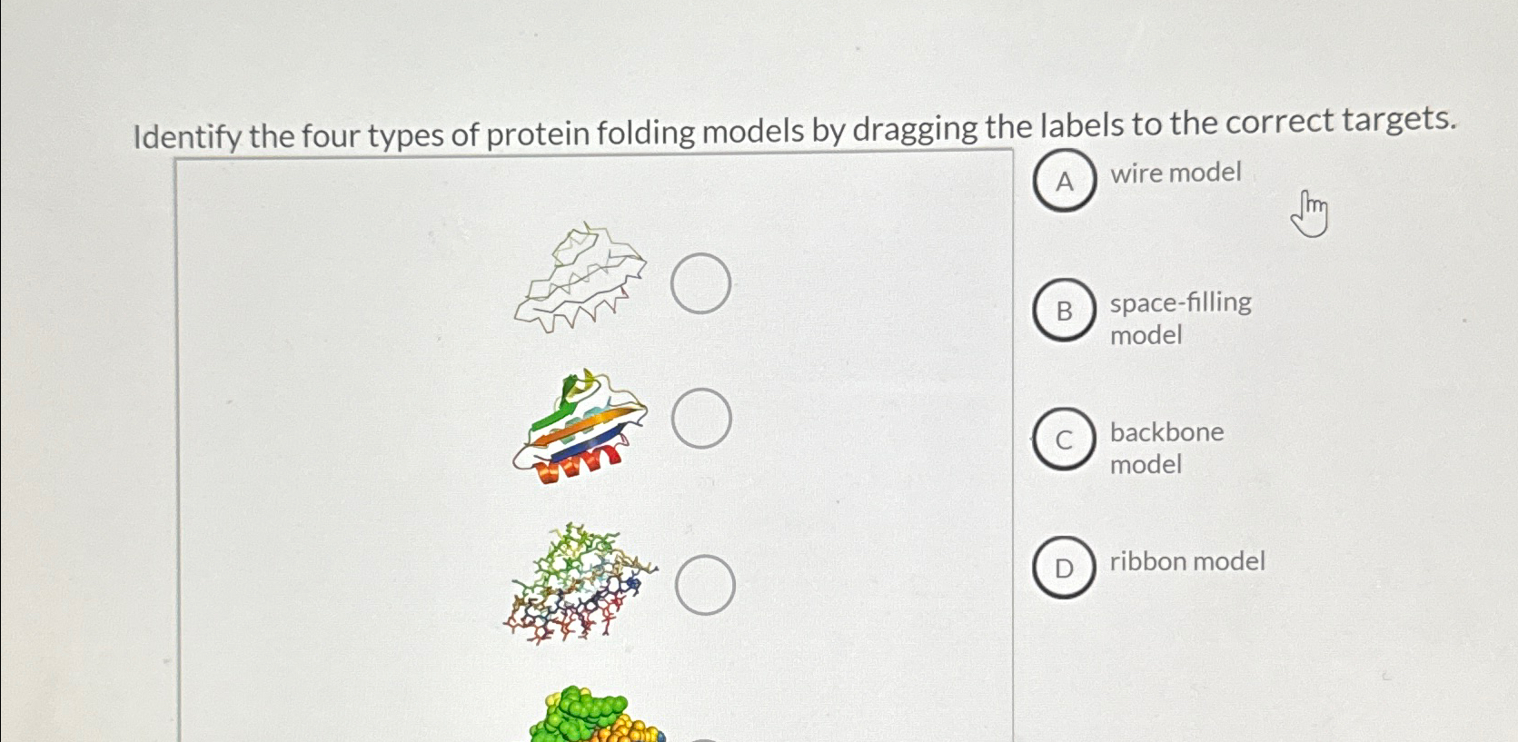 Solved Identify the four types of protein folding models by | Chegg.com