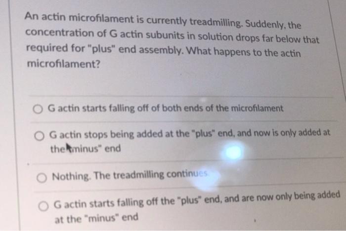 Solved An actin microfilament is currently treadmilling. | Chegg.com