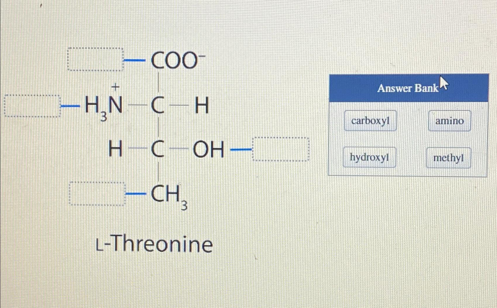Solved L-Threonine | Chegg.com