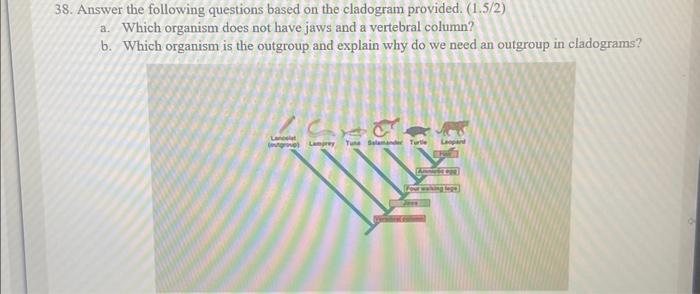 Solved 38. Answer the following questions based on the | Chegg.com