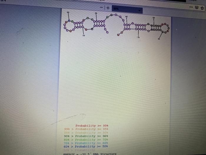 Solved I Find examples of stems, hairpin loops, internal | Chegg.com