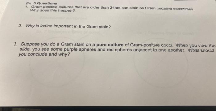 Solved Ex. 5 Questions 1. Gram-positive cultures that are | Chegg.com