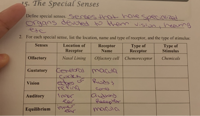 Solved 15. The Special Senses Define special senses. Senses | Chegg.com