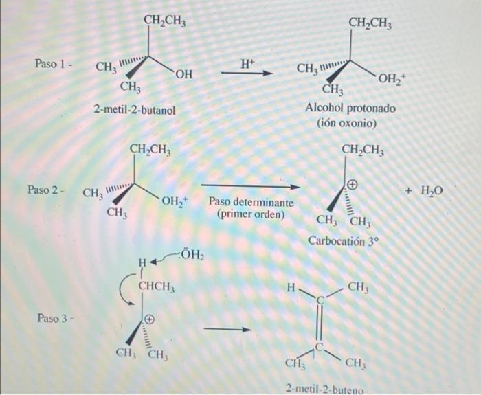 Solved CH2CH3 CH2CH3 Paso 1 - H+ CHZ ОН CH 2-metil-2-butanol | Chegg.com