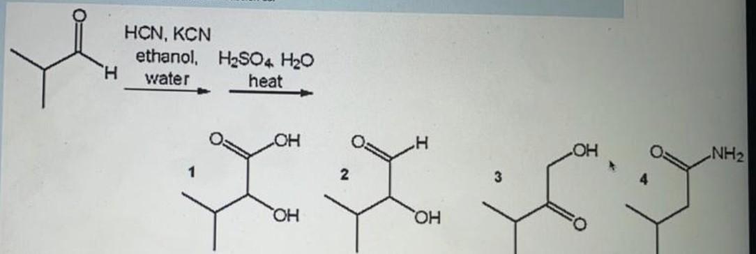 Solved OH NH2 1 mol H2O cat H2804 -C=N 2 NH2 NH 3 4 HCN, | Chegg.com