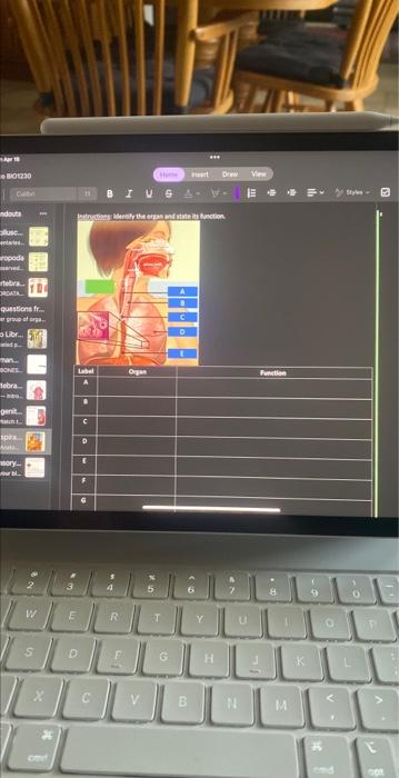 Solved Instructions: Identify the organ and state its | Chegg.com Solved Instructions: Identify the organ and state its | Chegg.com