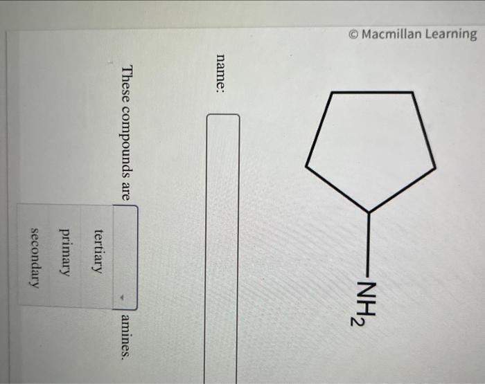 Solved Write the names for the amines shown. Macmillan | Chegg.com