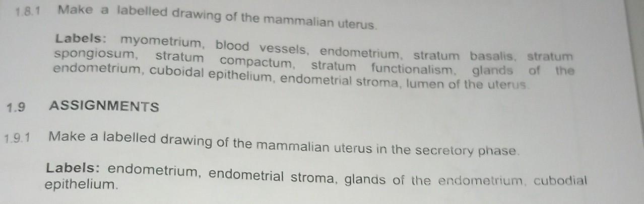 Solved 1.8.1 Make a labelled drawing of the mammalian | Chegg.com