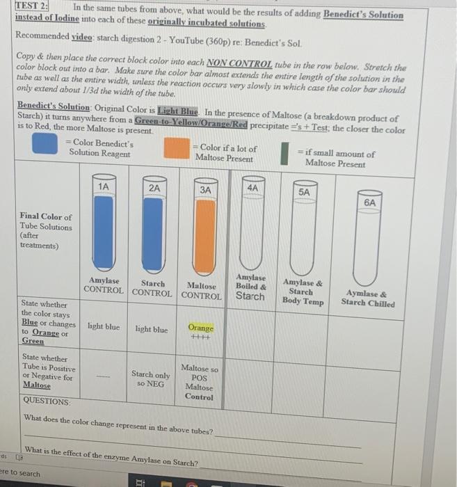 Solved DIGESTION PHYSIOLOGY LAB The following activities | Chegg.com