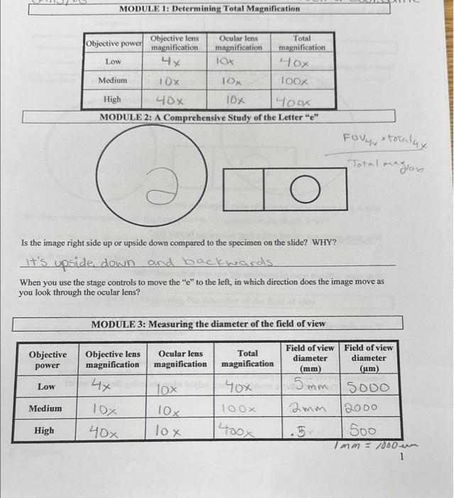 Solved Find an image online of the following Protists and | Chegg.com