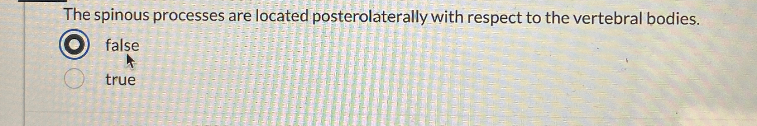 Solved The spinous processes are located posterolaterally | Chegg.com